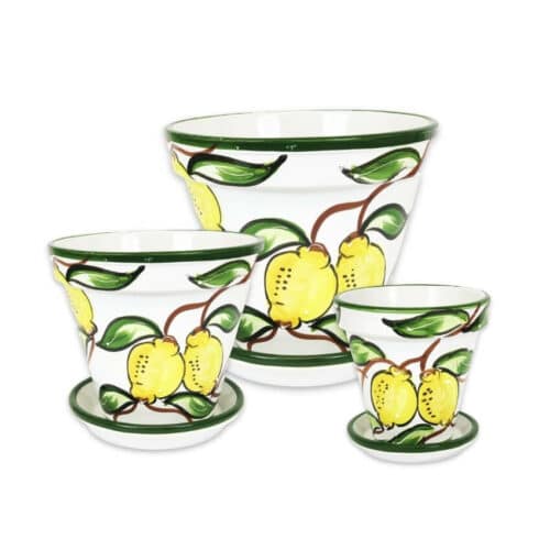 Classic Lemons Plant Pots | Verano Ceramics