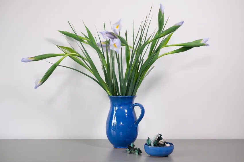 Spanish Ceramic Vases: An Essential Guide for Collectors and ...