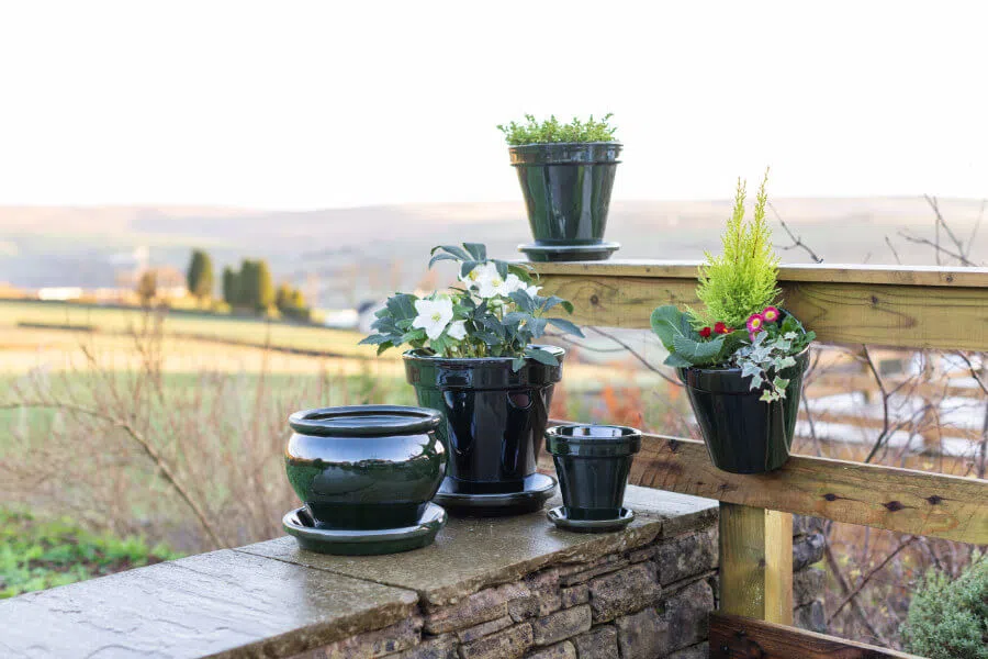 Transform Your Garden With Beautiful Ceramic Plant Pots | Verano Ceramics