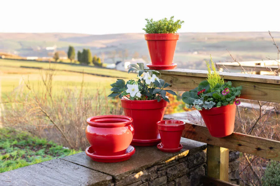 Transform Your Garden With Beautiful Ceramic Plant Pots | Verano Ceramics
