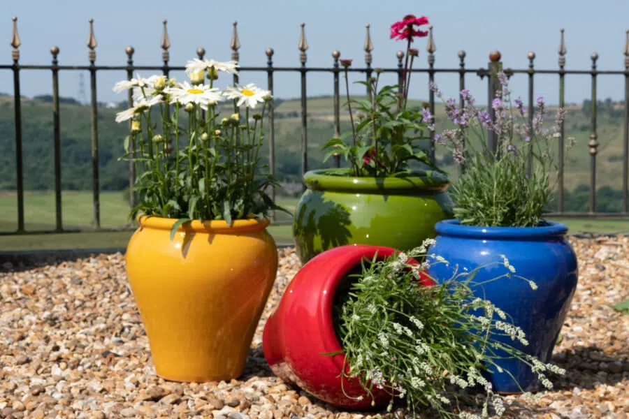 Transform Your Garden With Beautiful Ceramic Plant Pots | Verano Ceramics