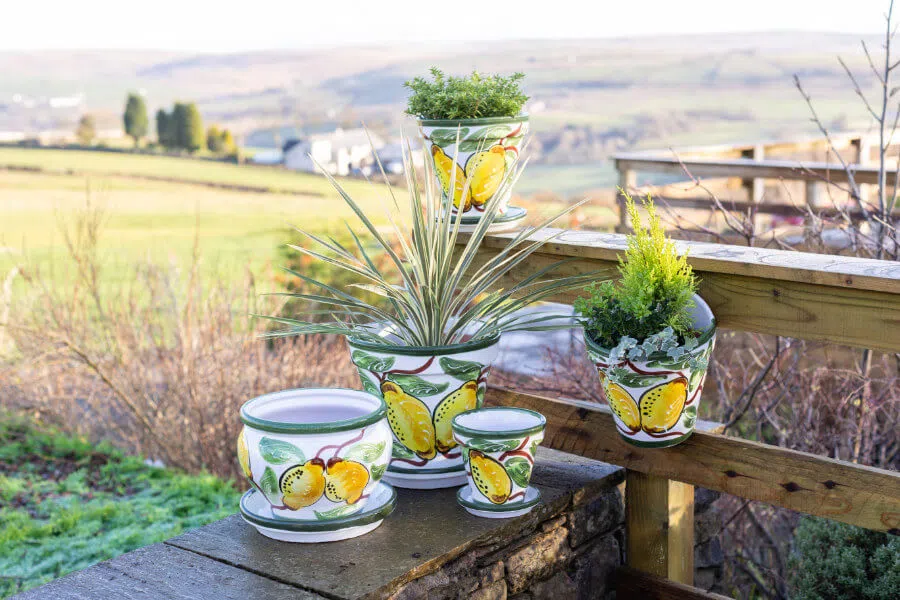 Transform Your Garden With Beautiful Ceramic Plant Pots | Verano Ceramics